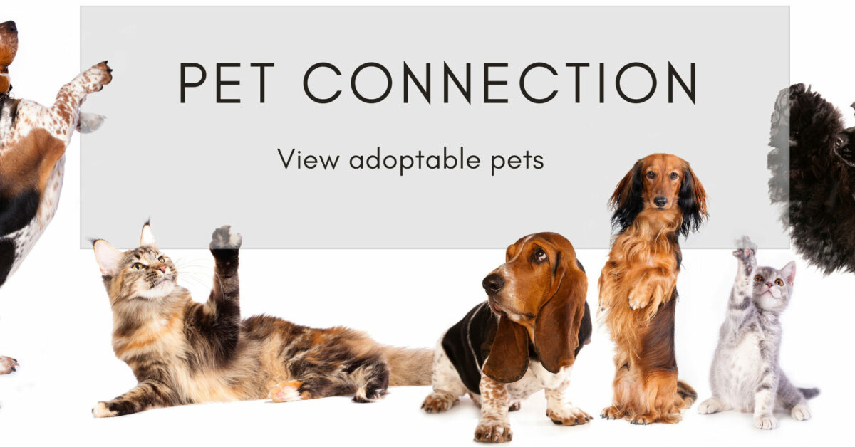 Pets - Senior Pet Connection